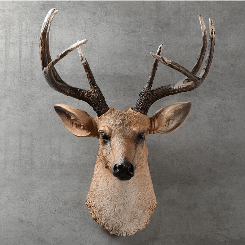 Realistic Deer Head – Skull Savvy